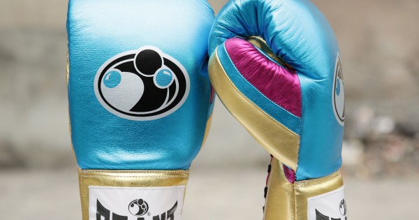 Professional Grant Boxing Gloves